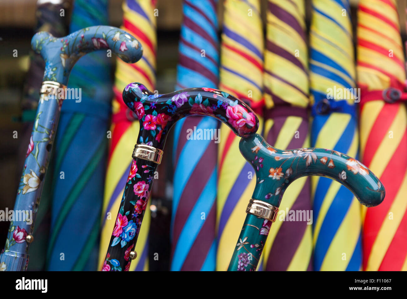 Patterned walking stick hi-res stock photography and images - Alamy