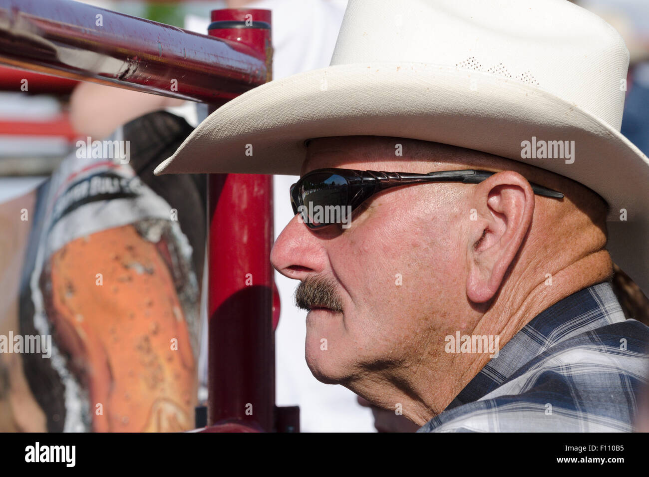 Profile of cowboy at Goshen Stampede Rodeo Stock Photo - Alamy
