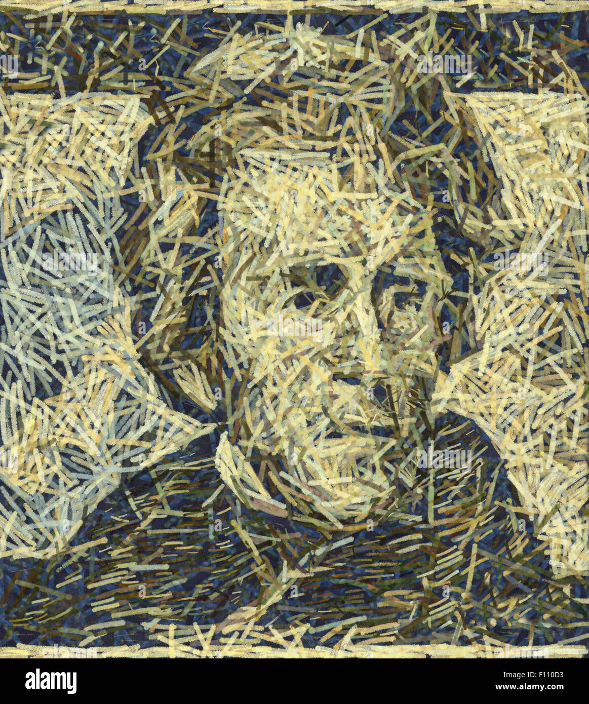 Portrait Andrew Jackson (1767-1845),US political and military leader ...