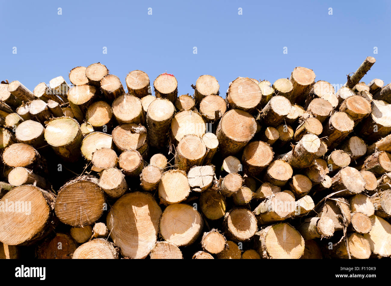 Timber Logs High Resolution Stock Photography and Images - Alamy