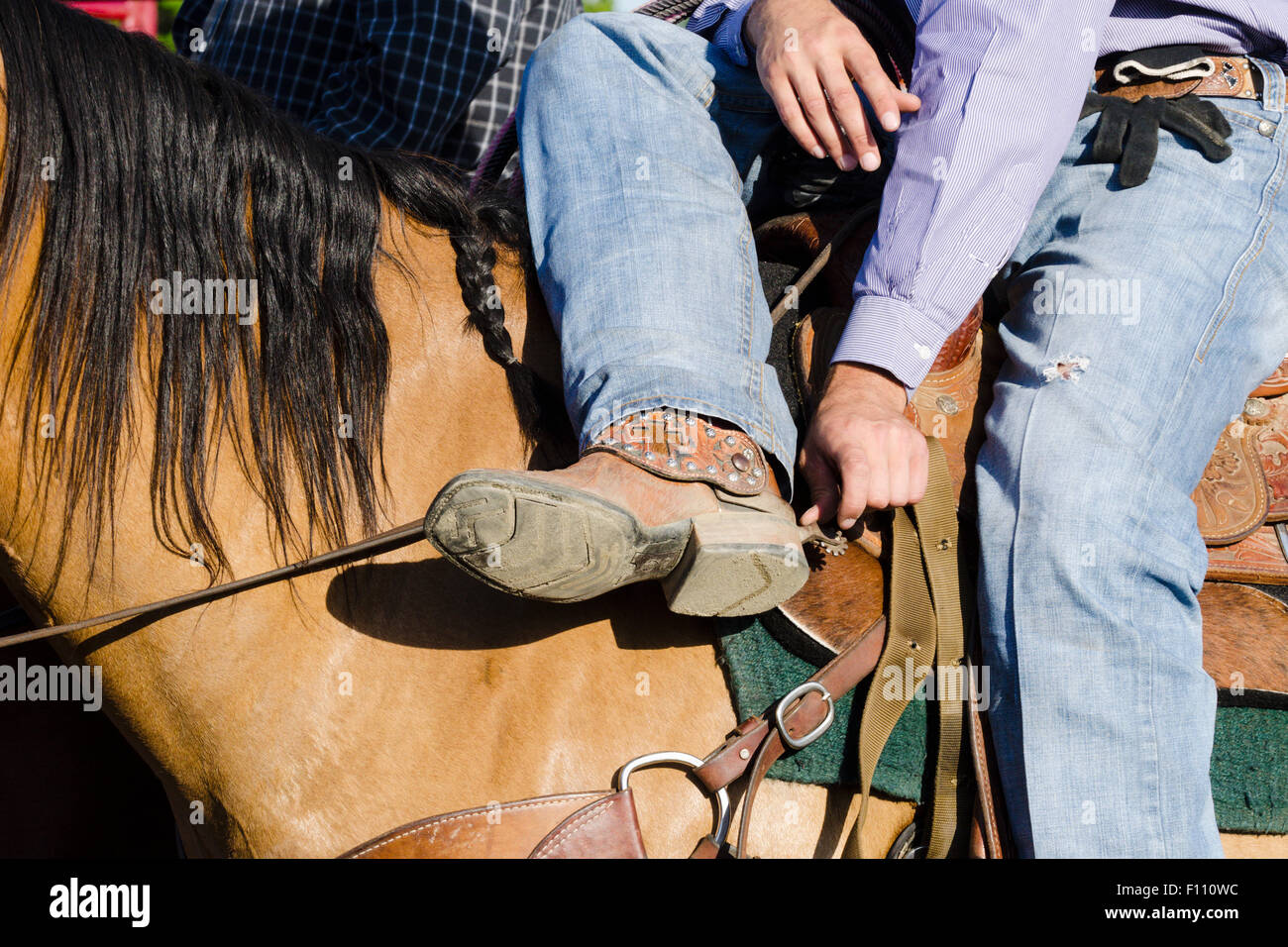 Cowboy sits in saddle on horseback, checks spurs, at Goshen Stampede ...