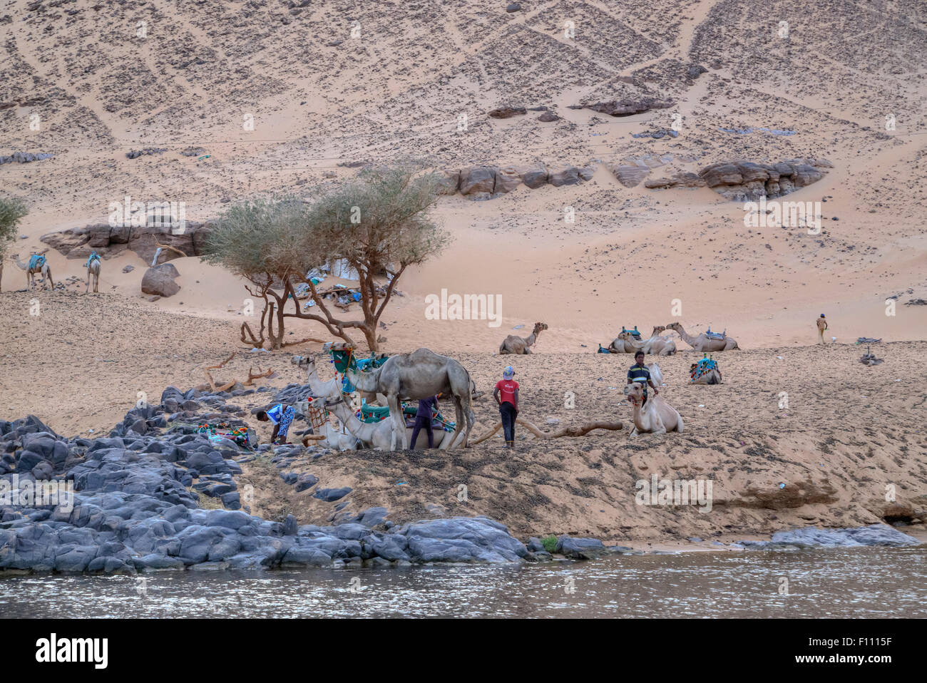 Desert aswan hi-res stock photography and images - Alamy