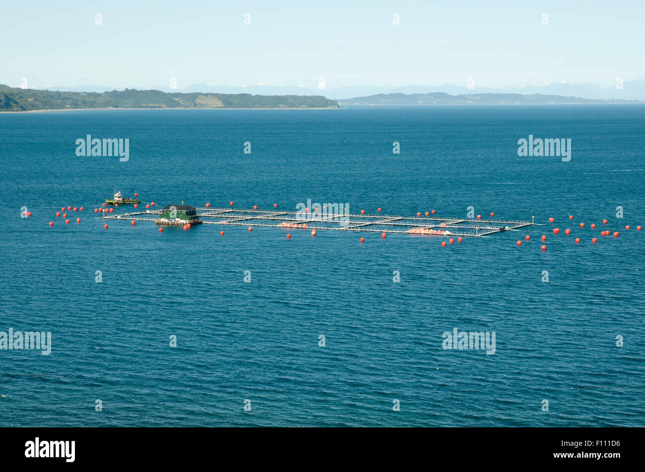 Fish Farm - Chiloe Island - Chile Stock Photo - Alamy