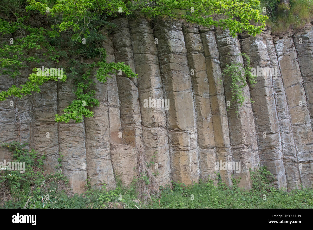 Basalt organ pipe hi-res stock photography and images - Alamy