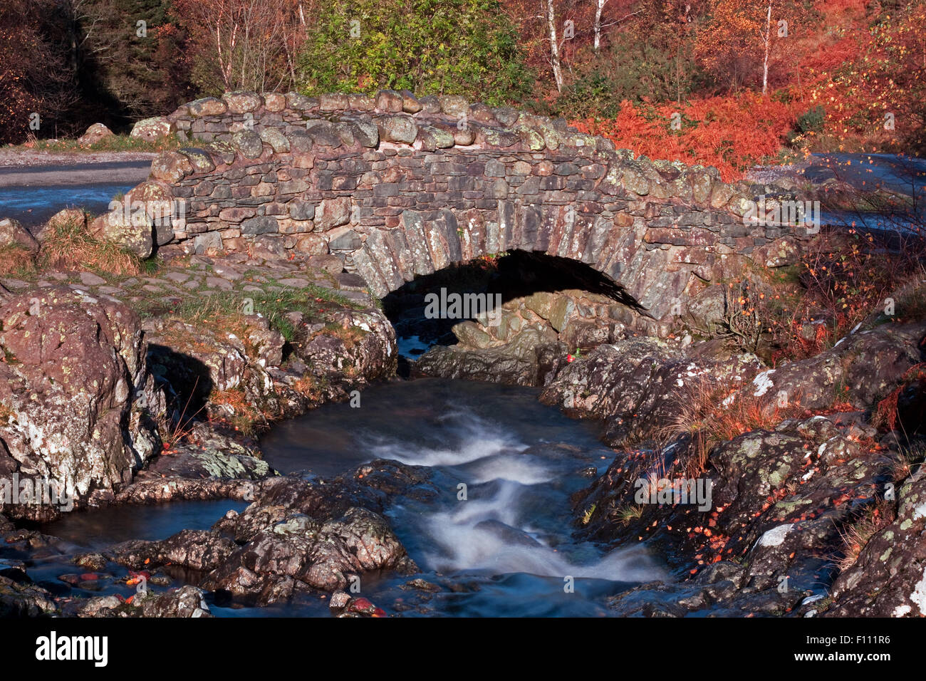 Back of the beck hi-res stock photography and images - Alamy