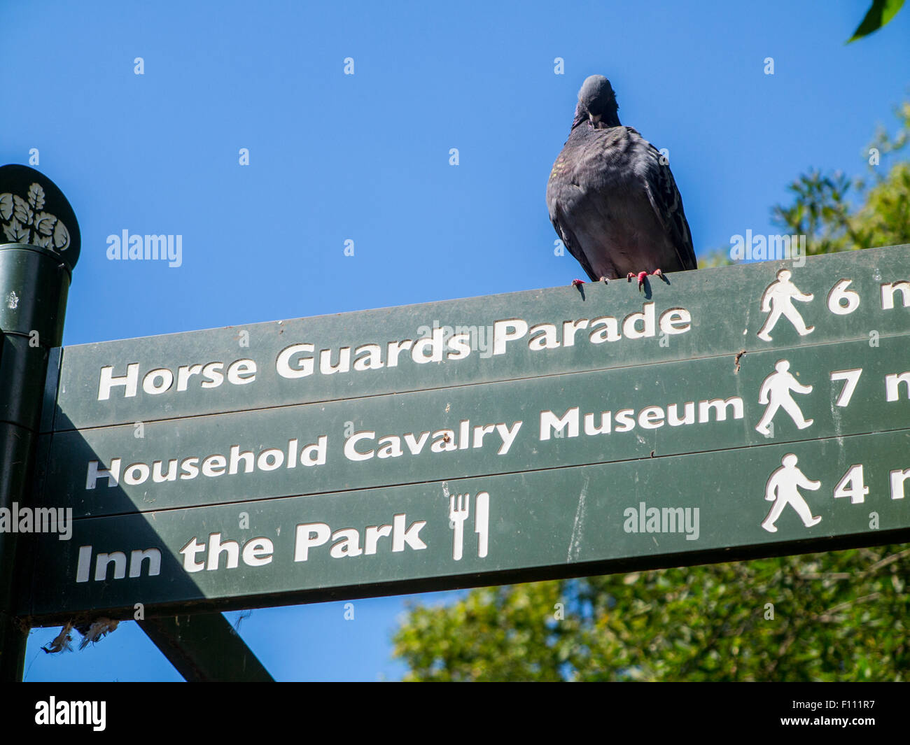 A pigeon covered sign in St James's Park Stock Photo - Alamy