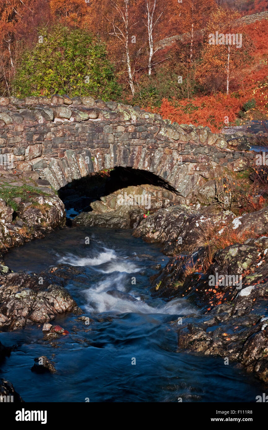 Back of the beck hi-res stock photography and images - Alamy