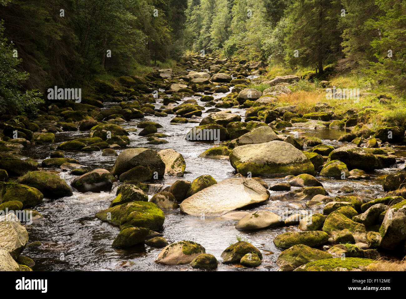 River Vydra, Sumava National Park, The Bohemian Forest, Czech Republic ...