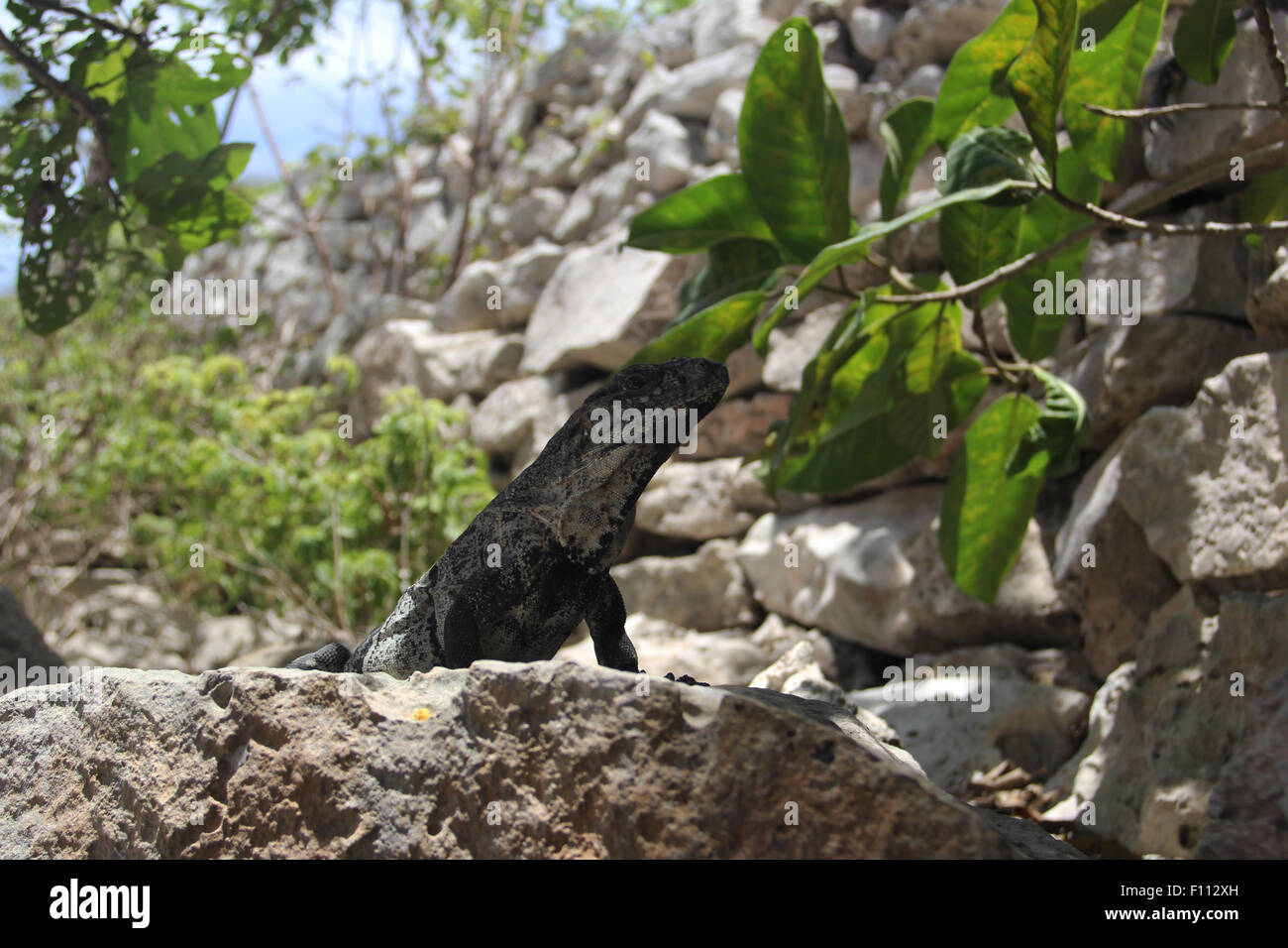 Steps to beach tulum hi-res stock photography and images - Alamy