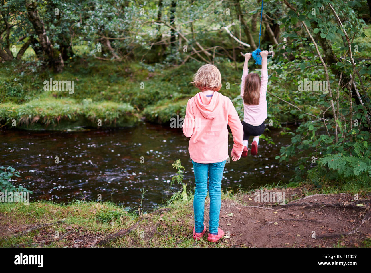 Adventurous girls playing on a rope swing in woodland by the river Dart ...