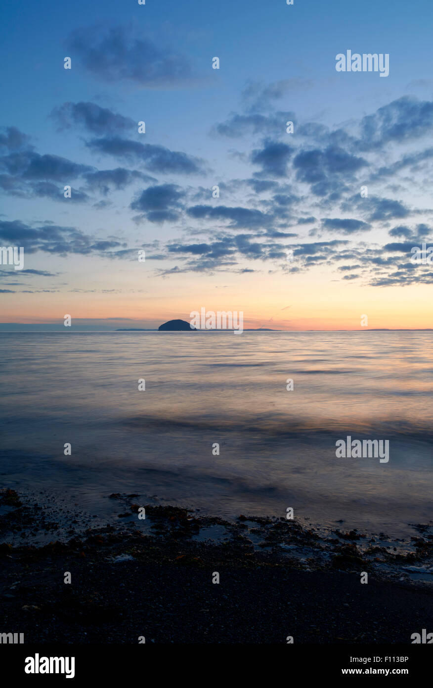 Alisa craig hi-res stock photography and images - Alamy