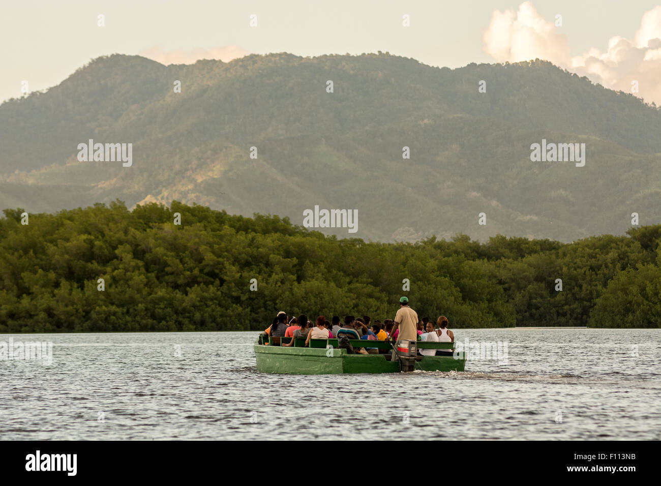 A guided boat tour through the Caroni Swamp Trinidad Stock Photo - Alamy