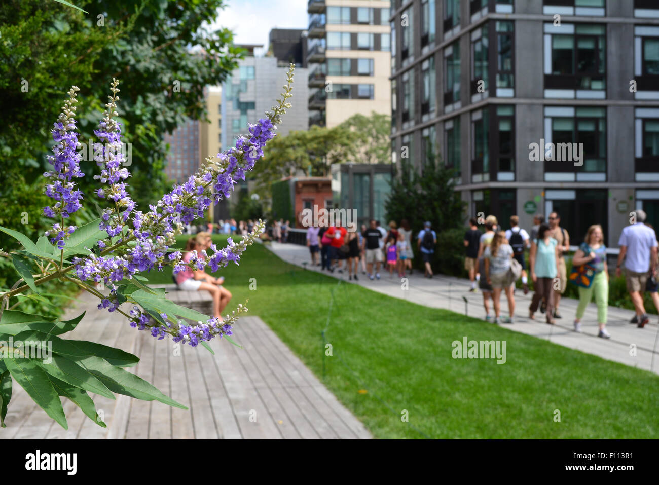 New york city high line hi-res stock photography and images - Alamy