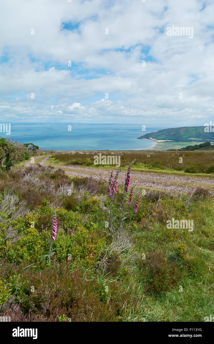 View to Porlock Bay from Porlock Common - Exmoor, England, UK Stock ...