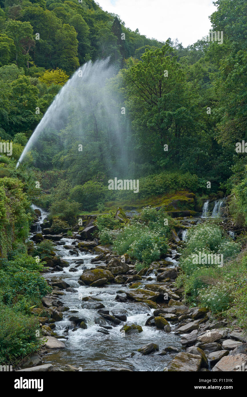 Glen Lyn Gorge - Lynmouth, Exmoor, England, UK Stock Photo - Alamy
