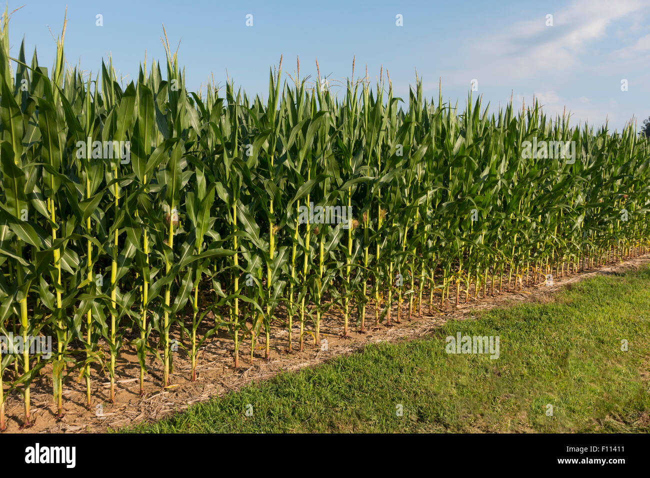 Lancaster pa hi-res stock photography and images - Alamy