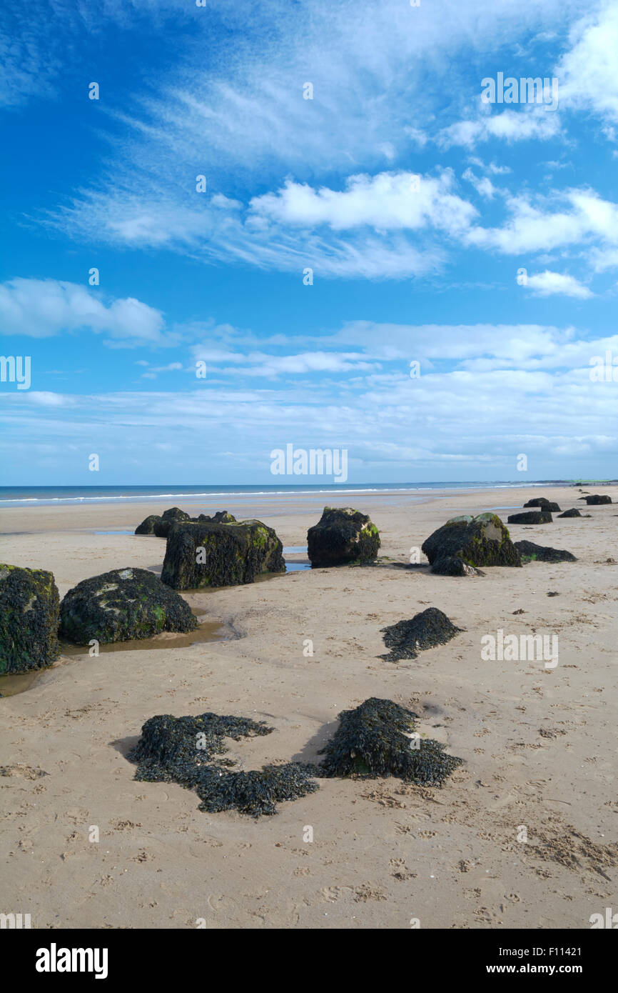 Ww2 remnants hi-res stock photography and images - Alamy