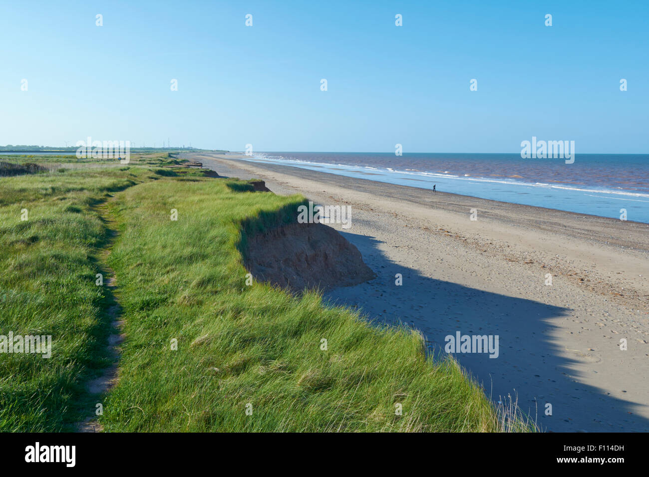 Coastal Landscape at Kilnsea, Yorkshire, England, UK Stock Photo - Alamy