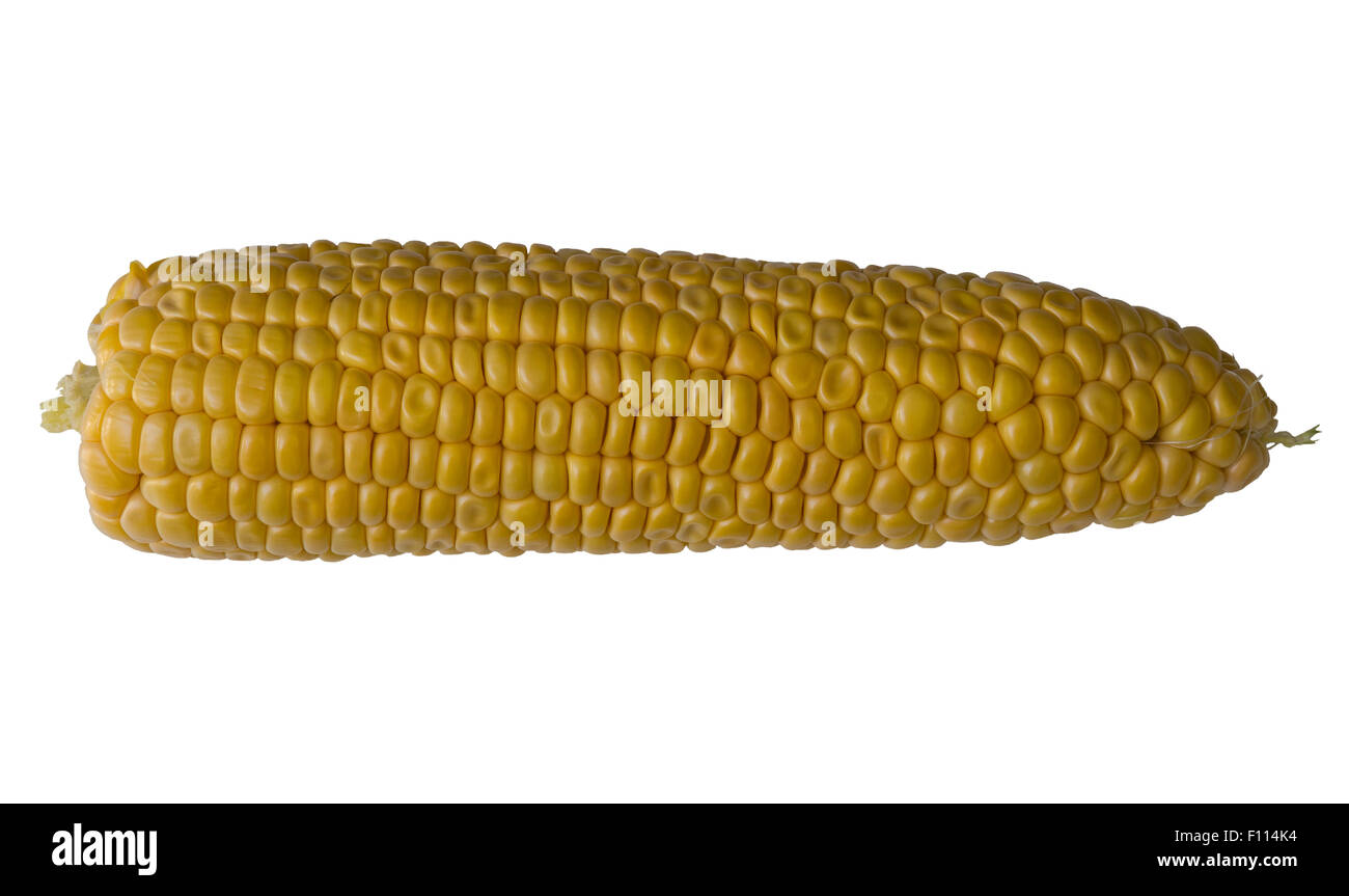 Corn Images