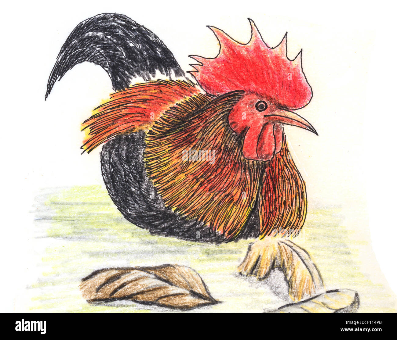 The original drawing of birds on white paper, jungle fowl Stock Photo ...
