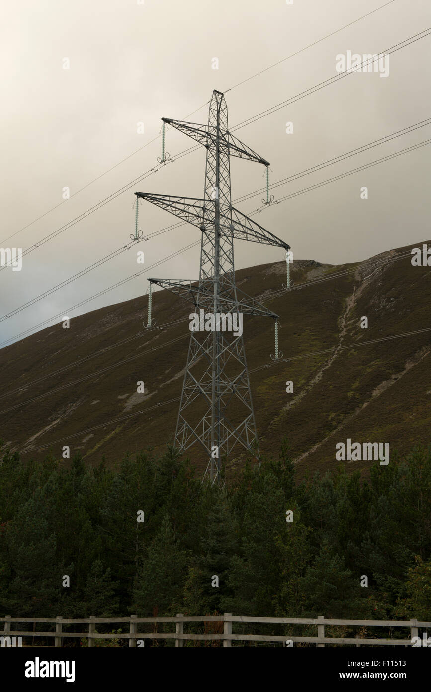 Electricity pylon among conifers, Scottish Highlands, UK Stock Photo ...