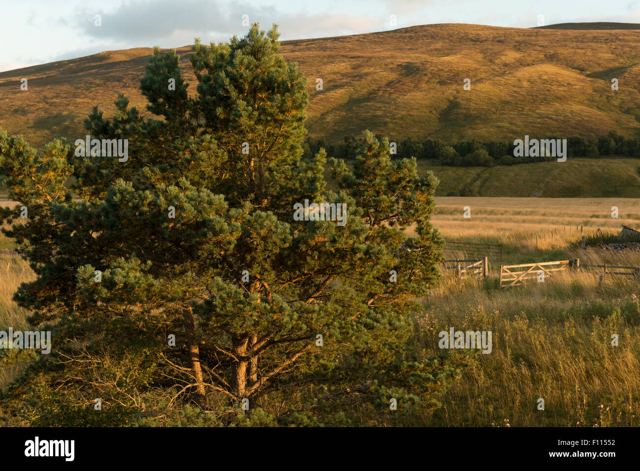 Highland landscape,North Perthshire,Scotland,UK Stock Photo - Alamy