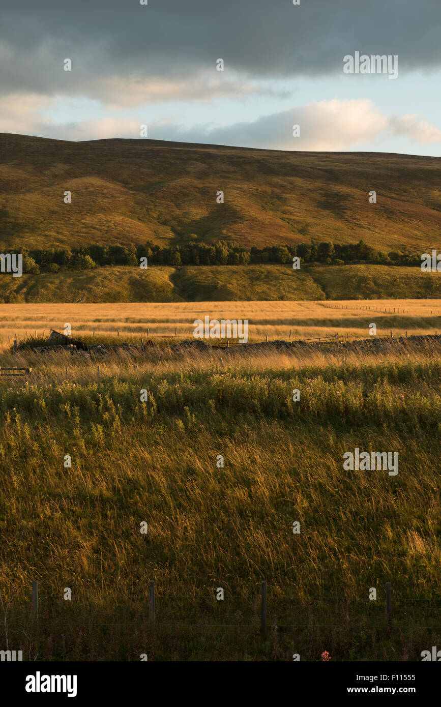 Highland landscape,North Perthshire,Scotland,UK Stock Photo - Alamy