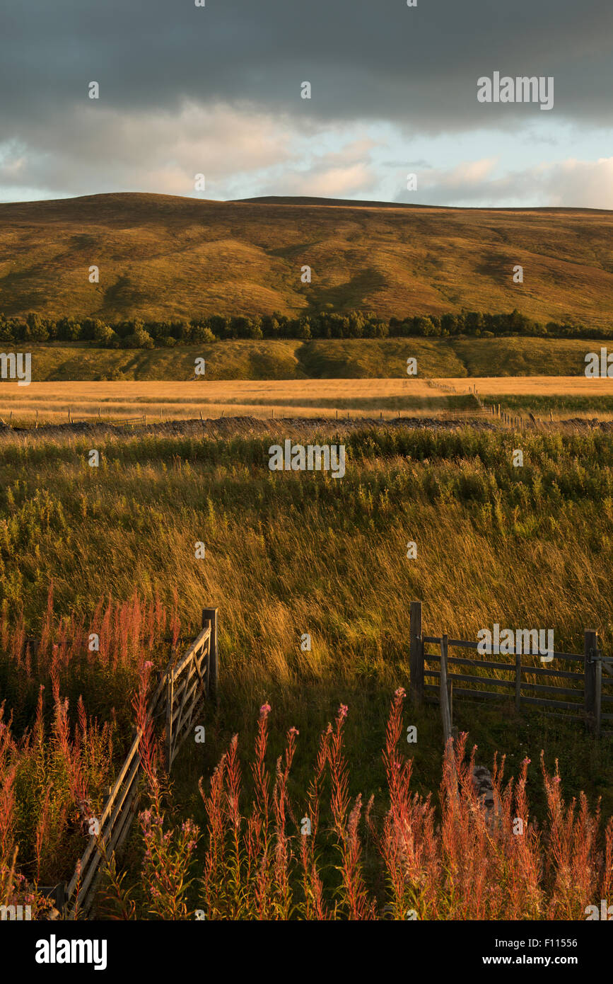 Highland landscape,North Perthshire,Scotland,UK Stock Photo - Alamy