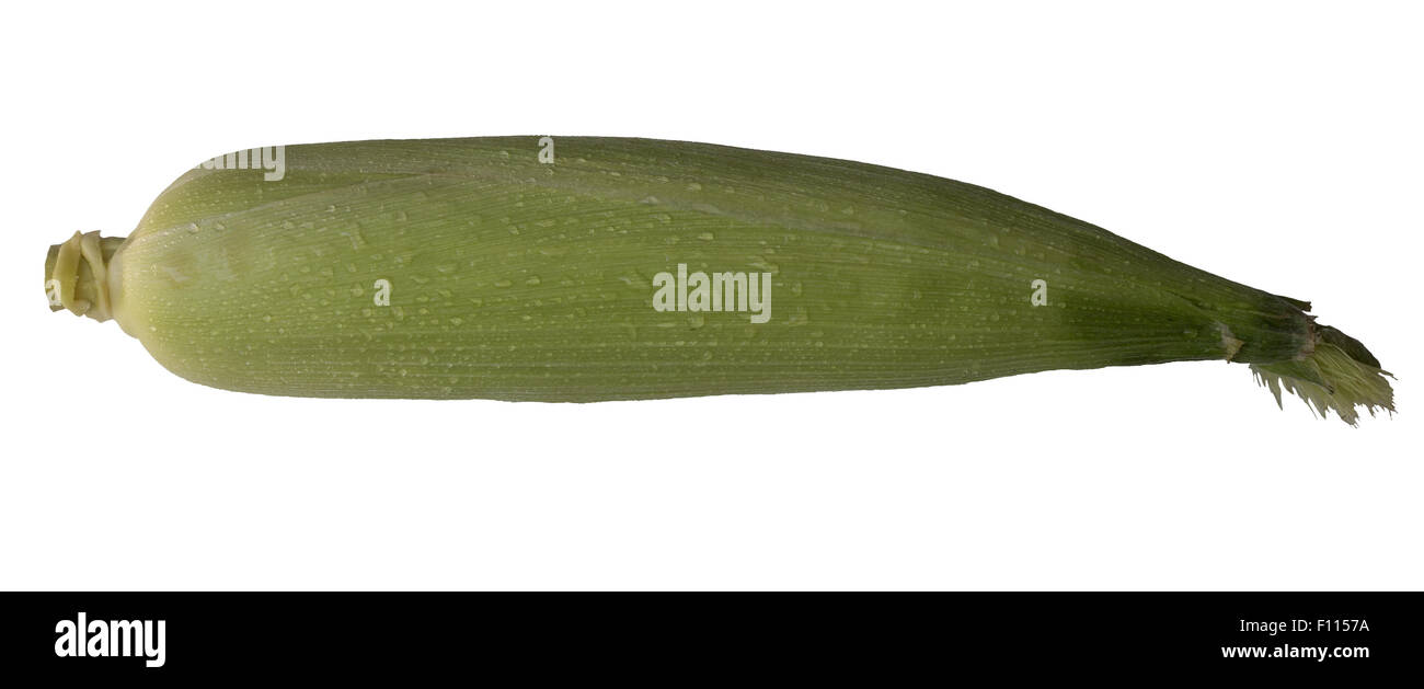 White corn kernels maize hi-res stock photography and images - Alamy