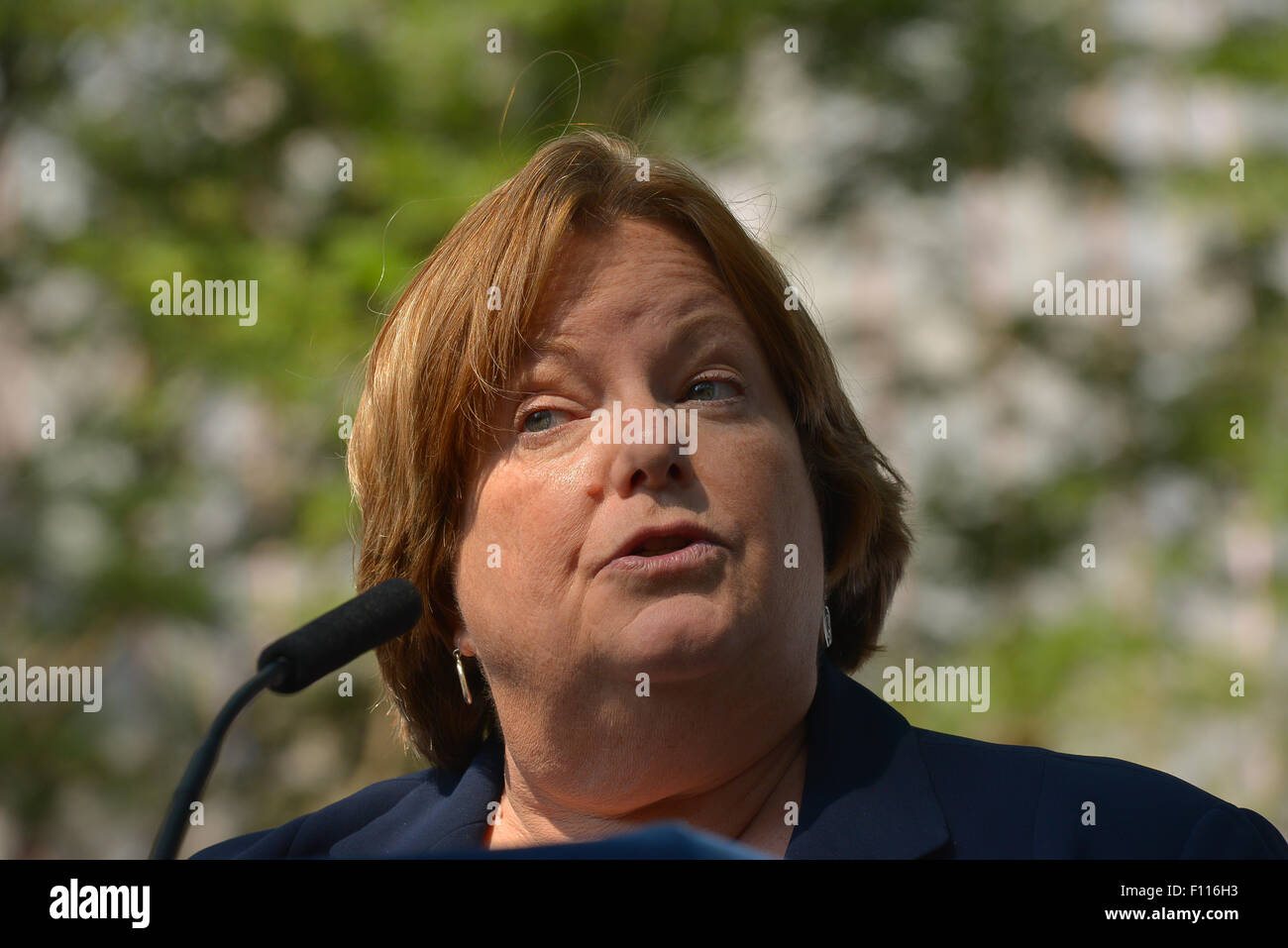 New York, United States. 24th Aug, 2015. Catherine Nolan, NY State ...