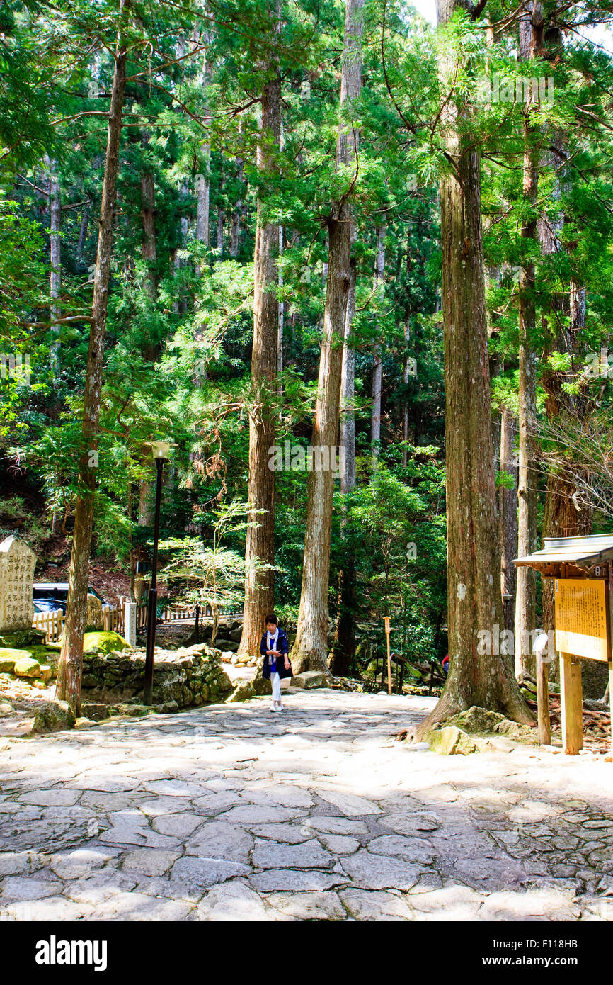 Japan, Nachikatsuura. Cobbled stone entrance way among tall trees of ...