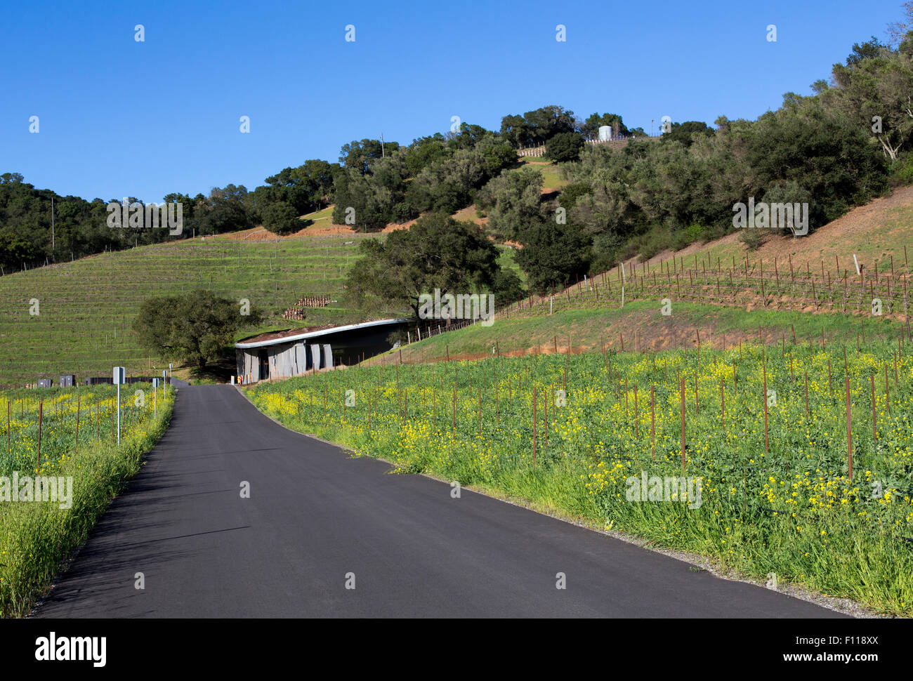 Odette estate hi-res stock photography and images - Alamy