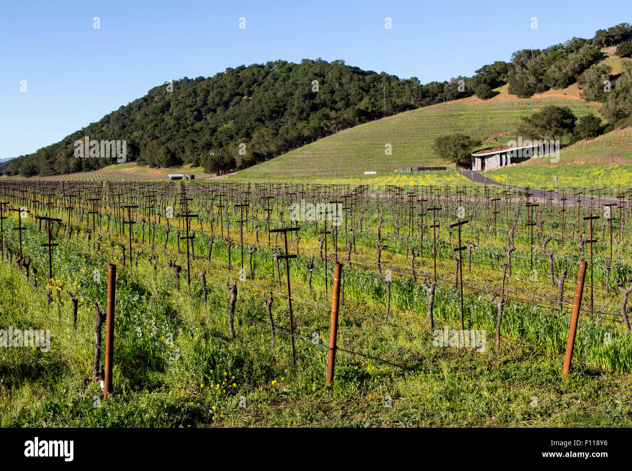 Odette hi-res stock photography and images - Alamy