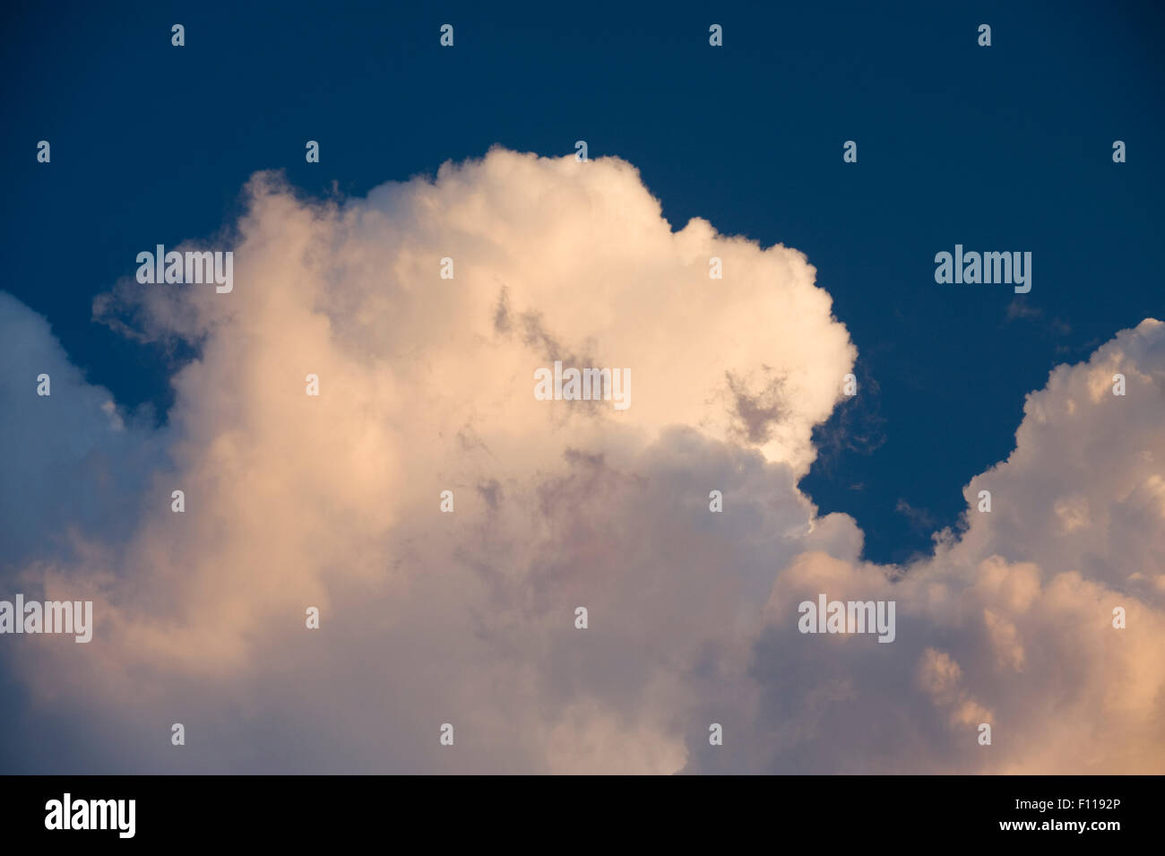 Cumulus cells hi-res stock photography and images - Alamy