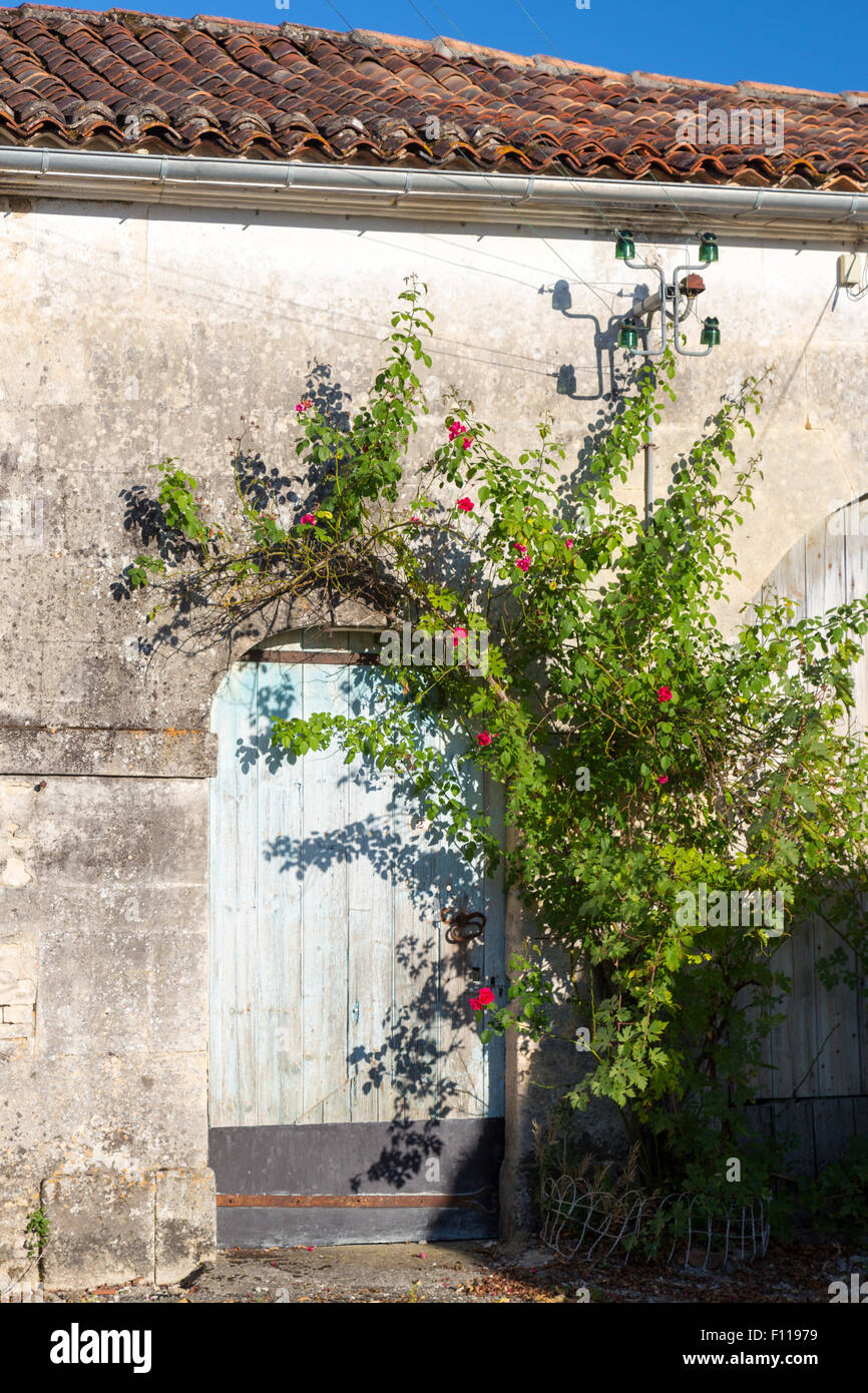 Stone wall overgrown flowers hi-res stock photography and images - Alamy