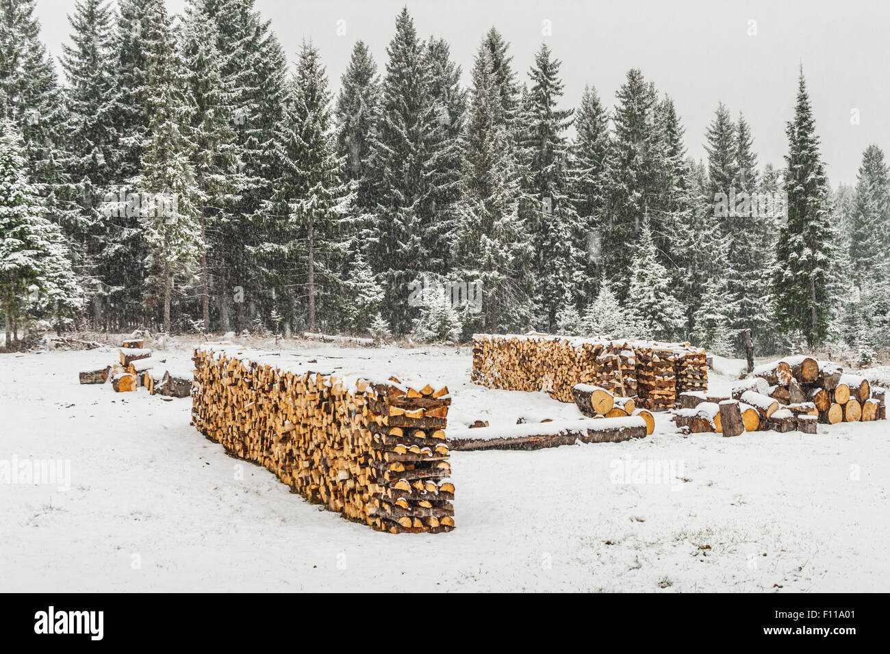 Stack of wood covered with snow in the distance Stock Photo - Alamy