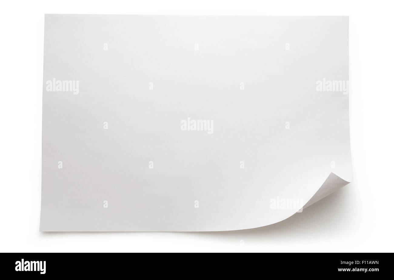 Blank sheet of paper on white background Stock Photo - Alamy