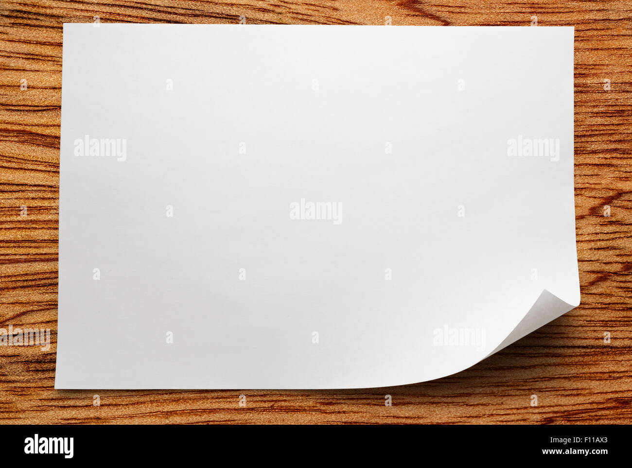 Blank Sheet Of Paper To Write On