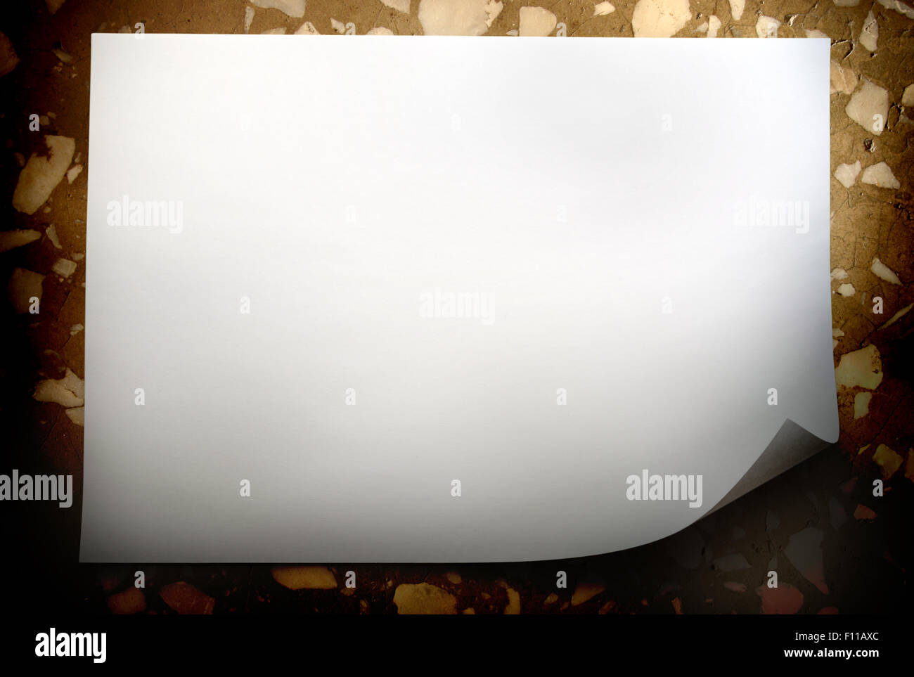 Blank sheet of paper on textured background Stock Photo - Alamy