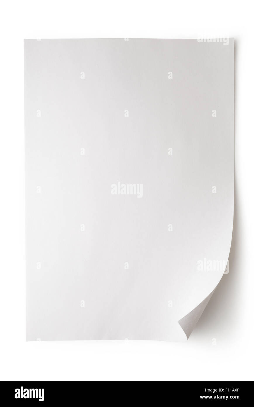 Blank sheet of paper on white background Stock Photo - Alamy
