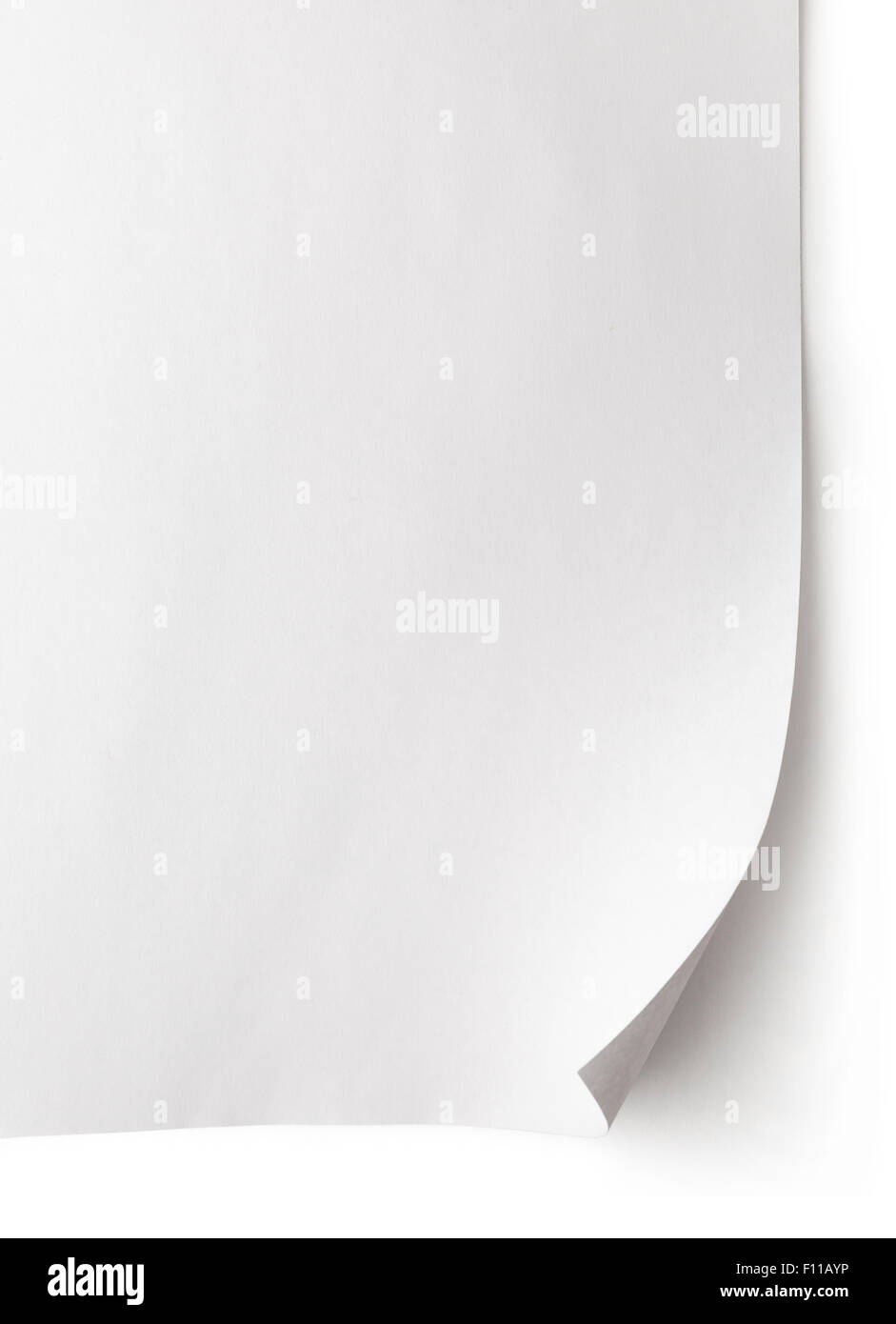 Blank sheet of paper on white background Stock Photo - Alamy
