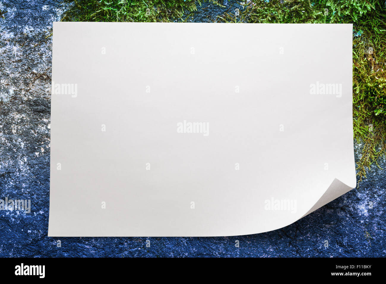 Blank sheet of paper on moss background Stock Photo - Alamy