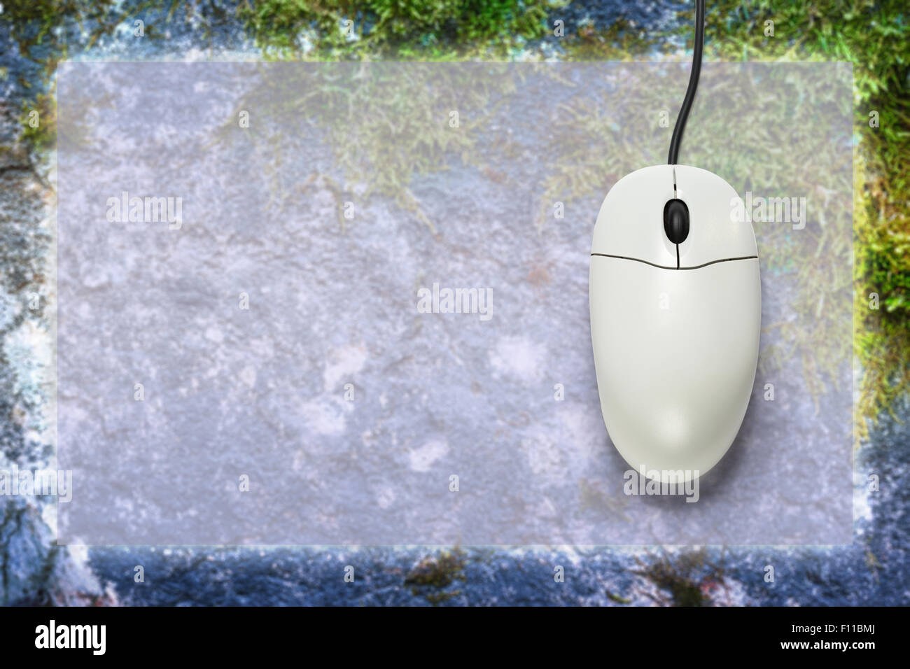 Computer mouse on blank background in closeup Stock Photo - Alamy