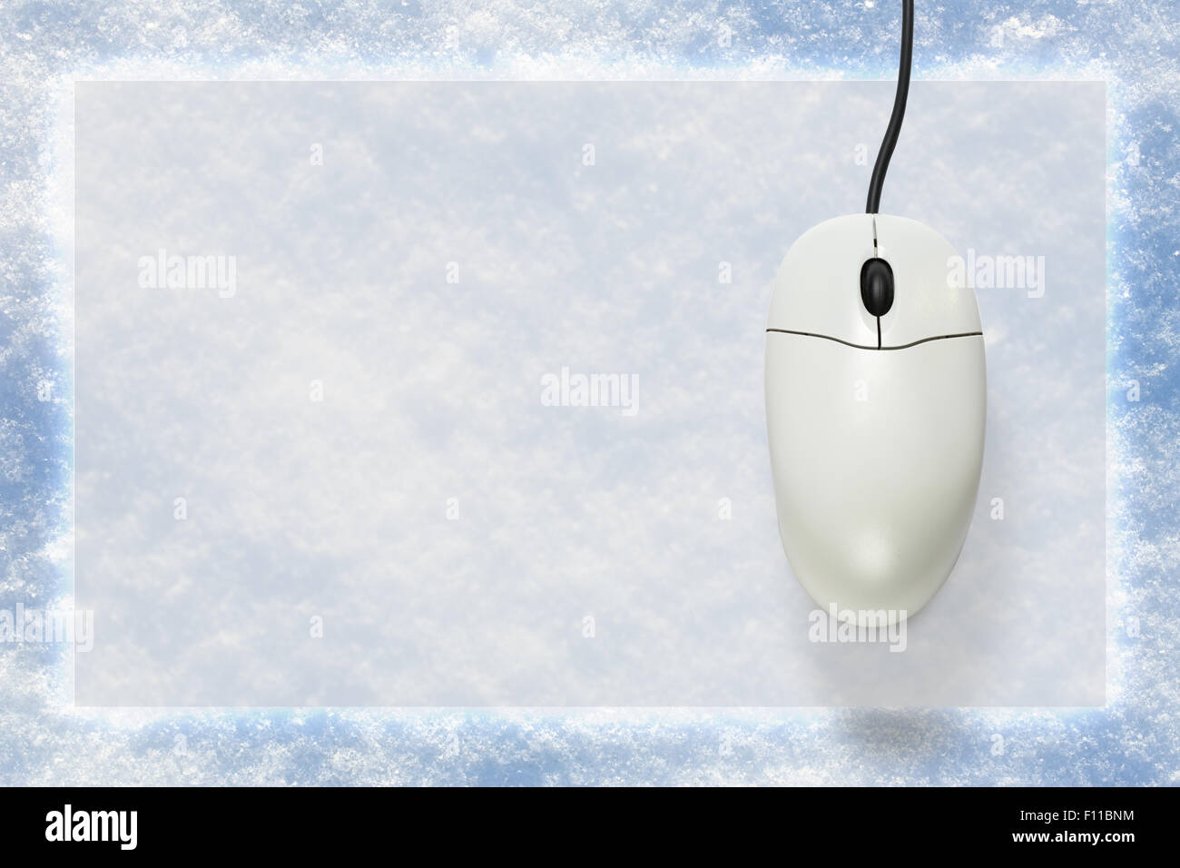 Computer mouse on blank background in closeup Stock Photo - Alamy
