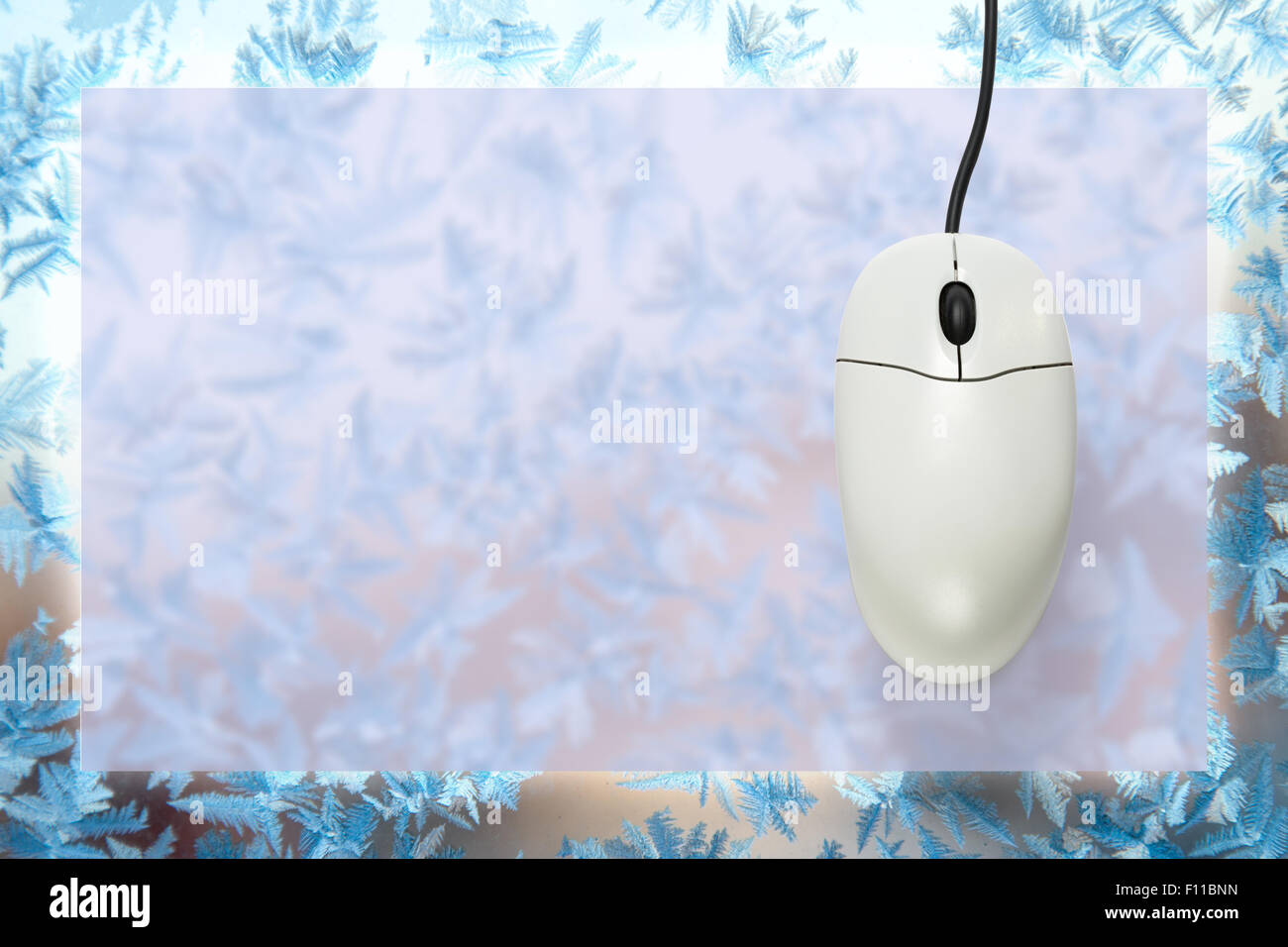 Computer mouse on blank background in closeup Stock Photo - Alamy