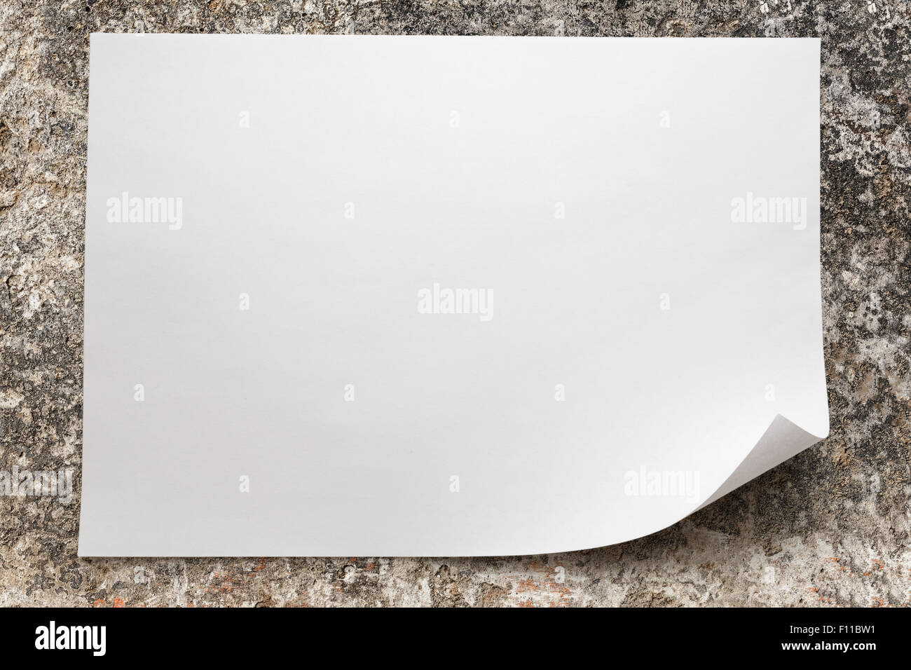 Blank sheet of paper on background closeup Stock Photo - Alamy