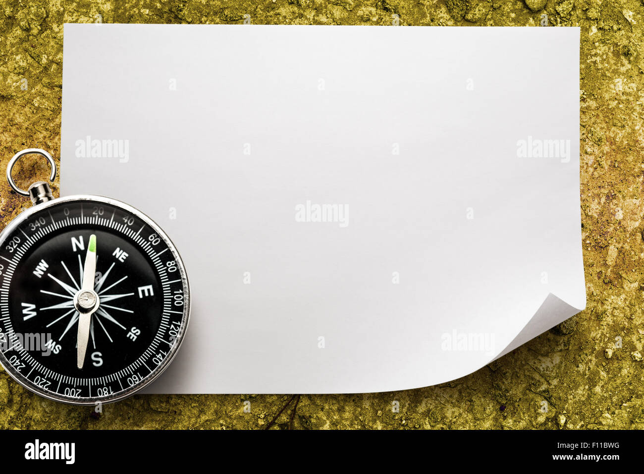 Compass on blank white piece of paper Stock Photo - Alamy