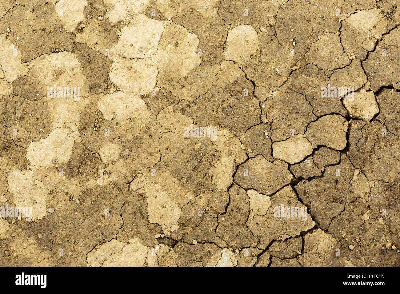 Dry soil textured as background in closeup Stock Photo - Alamy