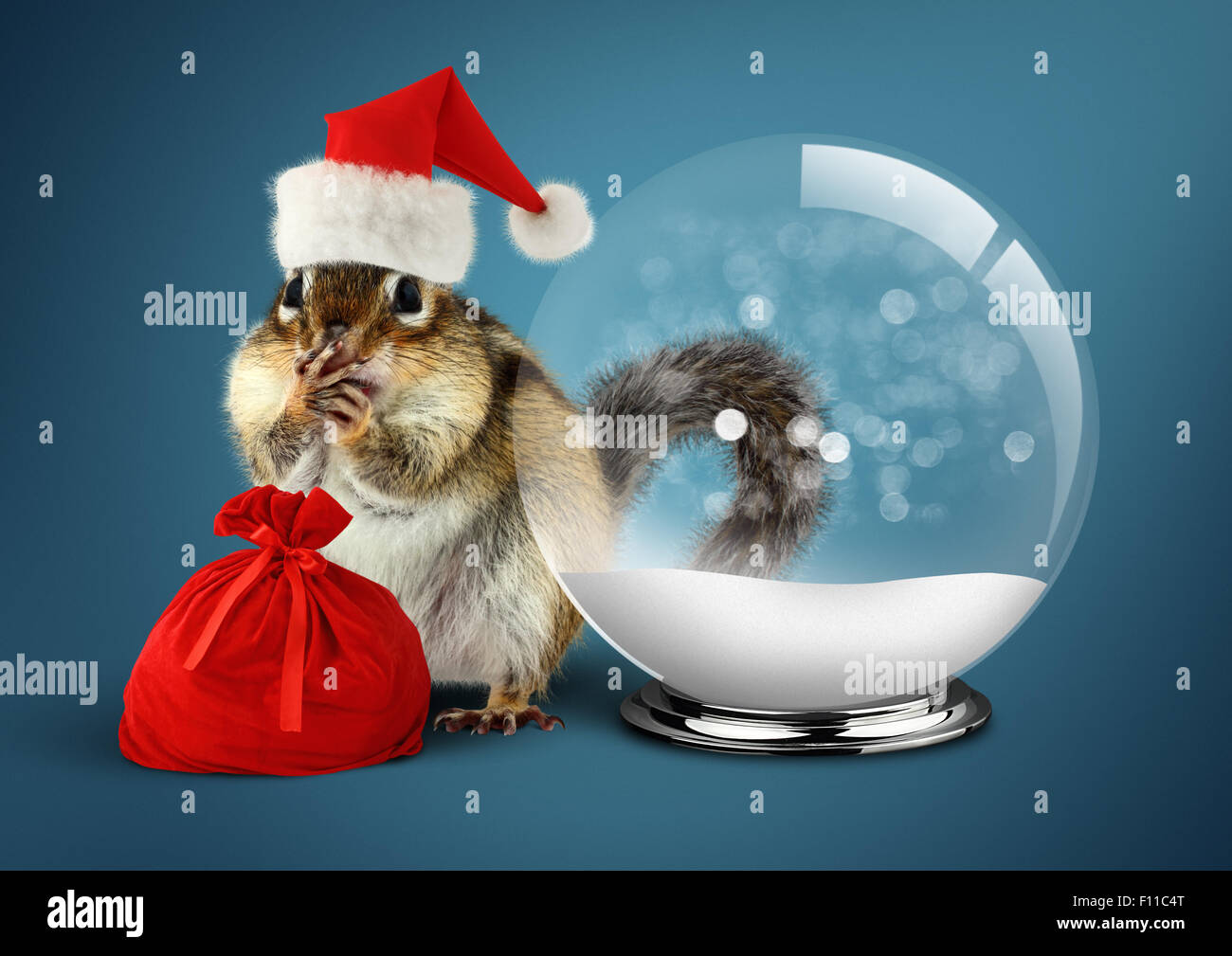Funny animal chipmunk dressed as santa with snow ball, christmas ...