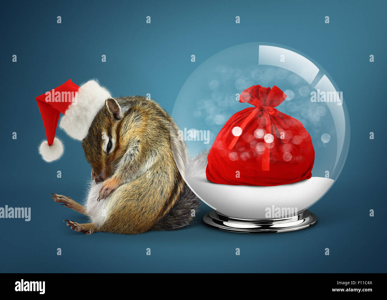 Funny animal chipmunk dressed as santa with snow ball, christmas ...
